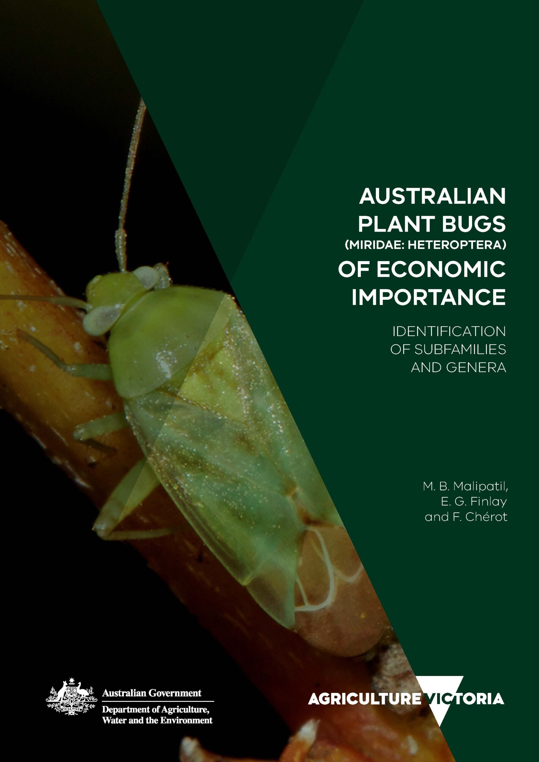 Updated manuals available for the identification of Miridae and ...