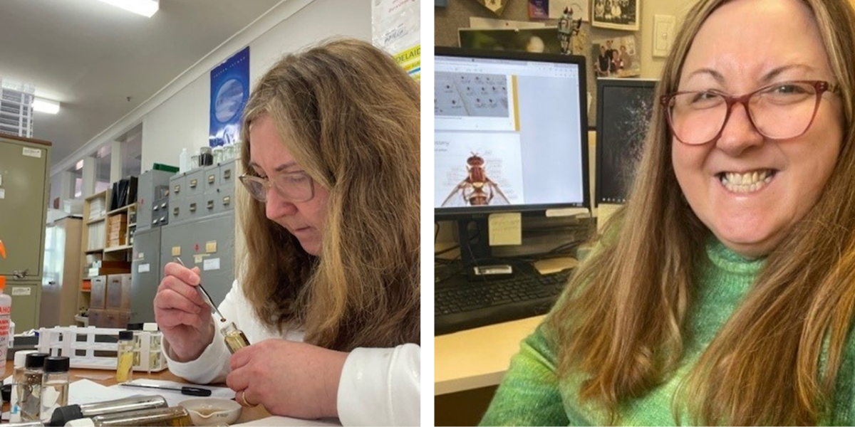 Career profile | Nancy Cunningham - National Plant Biosecurity ...